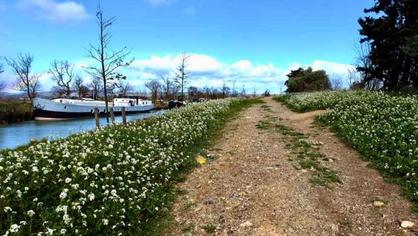 Le Somail Canal du Midi: An Idyllic Haven on France’s Waterway 2025
