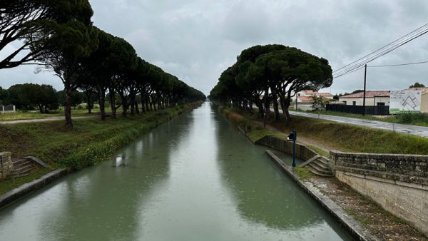 Exploration du Canal de la Robine : Histoire et Nature en Occitanie 2025