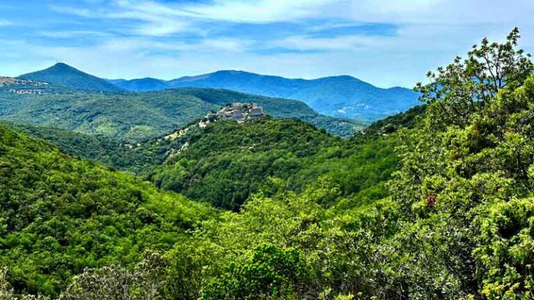 Termes Castle: 7 Reasons to Visit This Hidden Gem in Occitanie 2025
