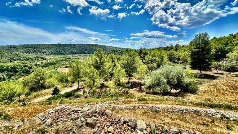 Visiter Bize-Minervois : Village authentique du Minervois